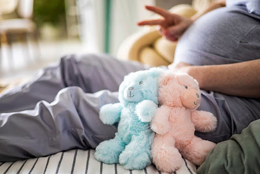 Stages Of Pregnancy With Twins