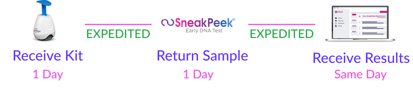 SneakPeek At-Home Gender Test